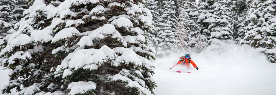 Powder Canada - The World's Best Powder