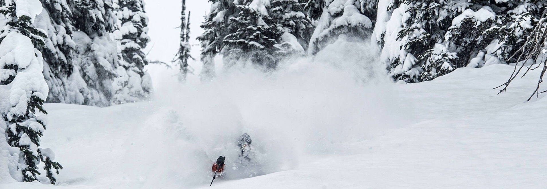 Powder Canada - The World's Best Powder